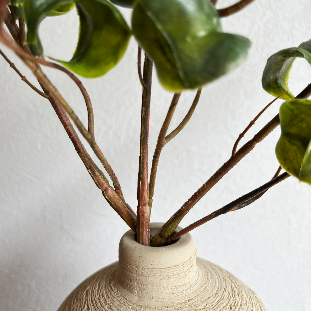 【枝物】ベンジャミン投げ入れセット（Coron Clay / サンドベージュ） – フェイクグリーン専門店「& GARDEN」 公式オンラインショップ